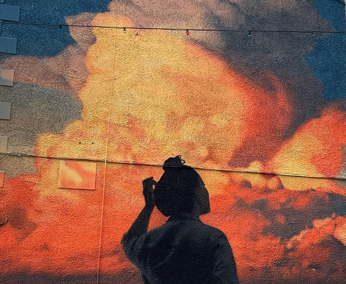 The Extraordinary Street Art of the Waterford Walls Festival ...